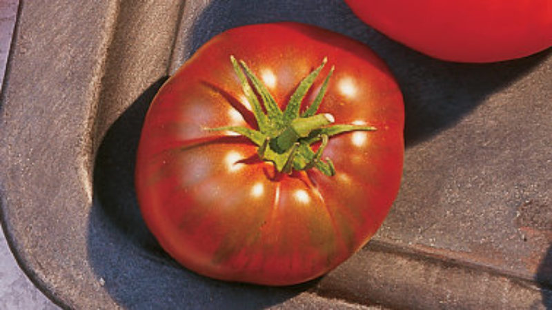 Best Tomato Types for Slicing - Sunset Magazine