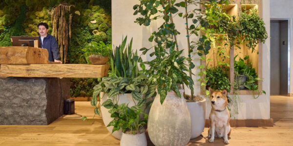 Seared Cod in Cherry Tomato and Tarragon Nage Recipe – Sunset Magazine