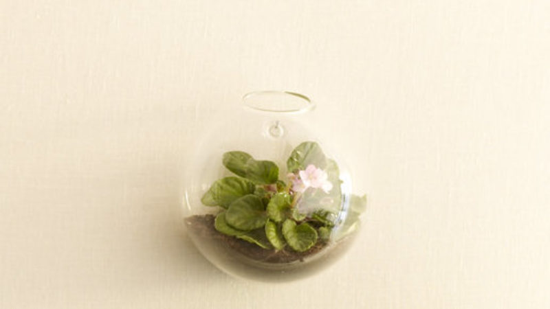 8 Cool DIY Terrariums - Sunset Magazine