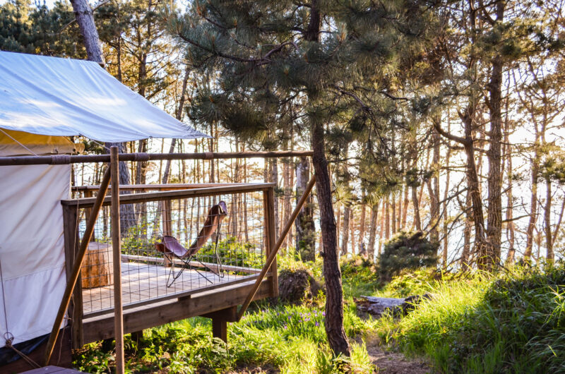 Mendocino Grove - Sunset Magazine