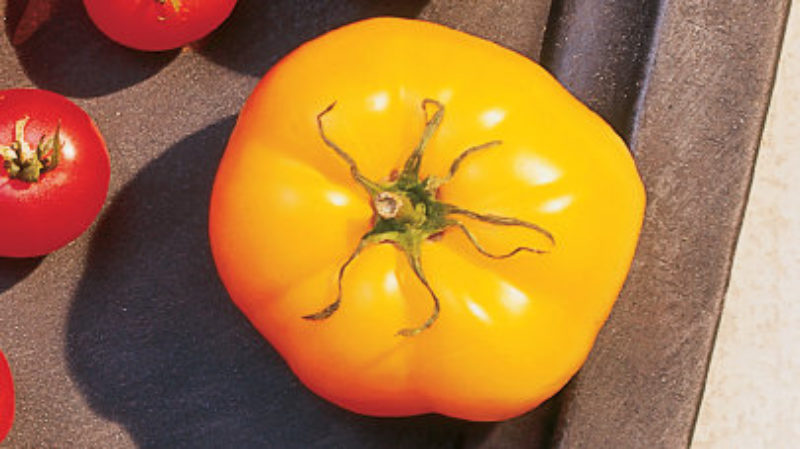 Best Tomato Types for Slicing - Sunset Magazine