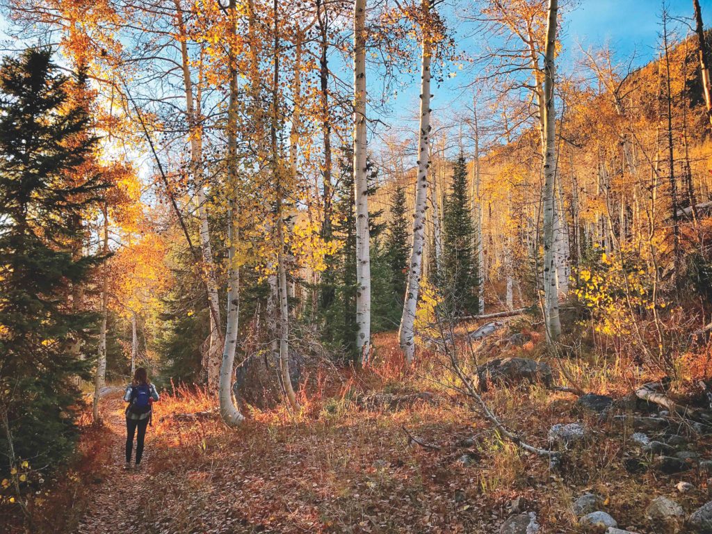 Access to Nature Is off the Charts in These Four Towns - Sunset Magazine