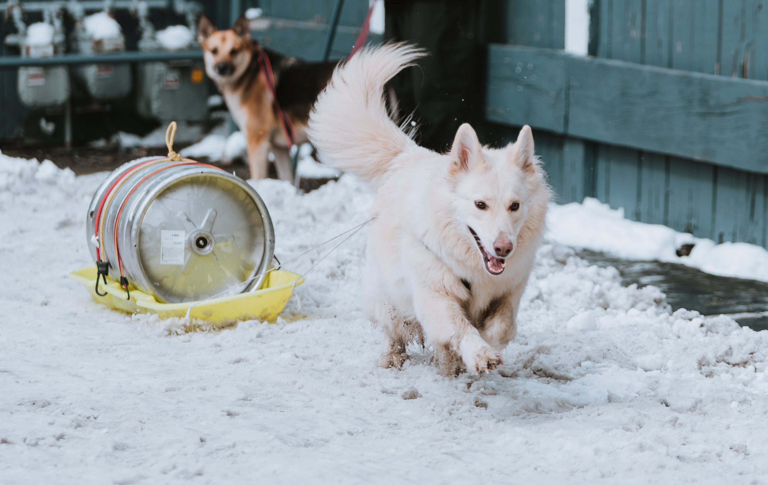 North Lake Tahoe SNOWFEST! - Sunset Magazine