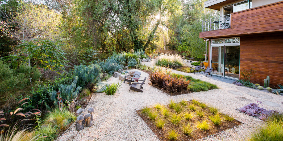 Strategies to Keep Your Plants Thriving in the Summer Heat – Sunset ...