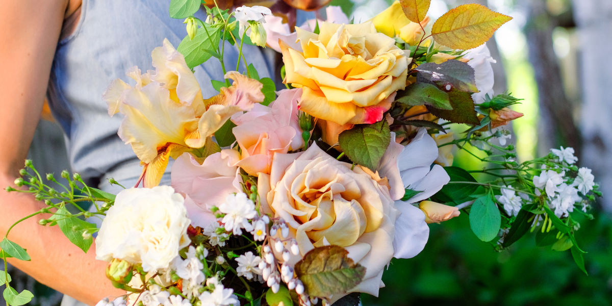 Best Varieties for Your Rose Garden – Sunset Magazine