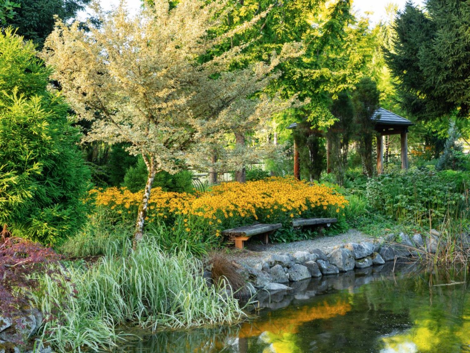 Guide to Basic Gardening - Sunset Magazine