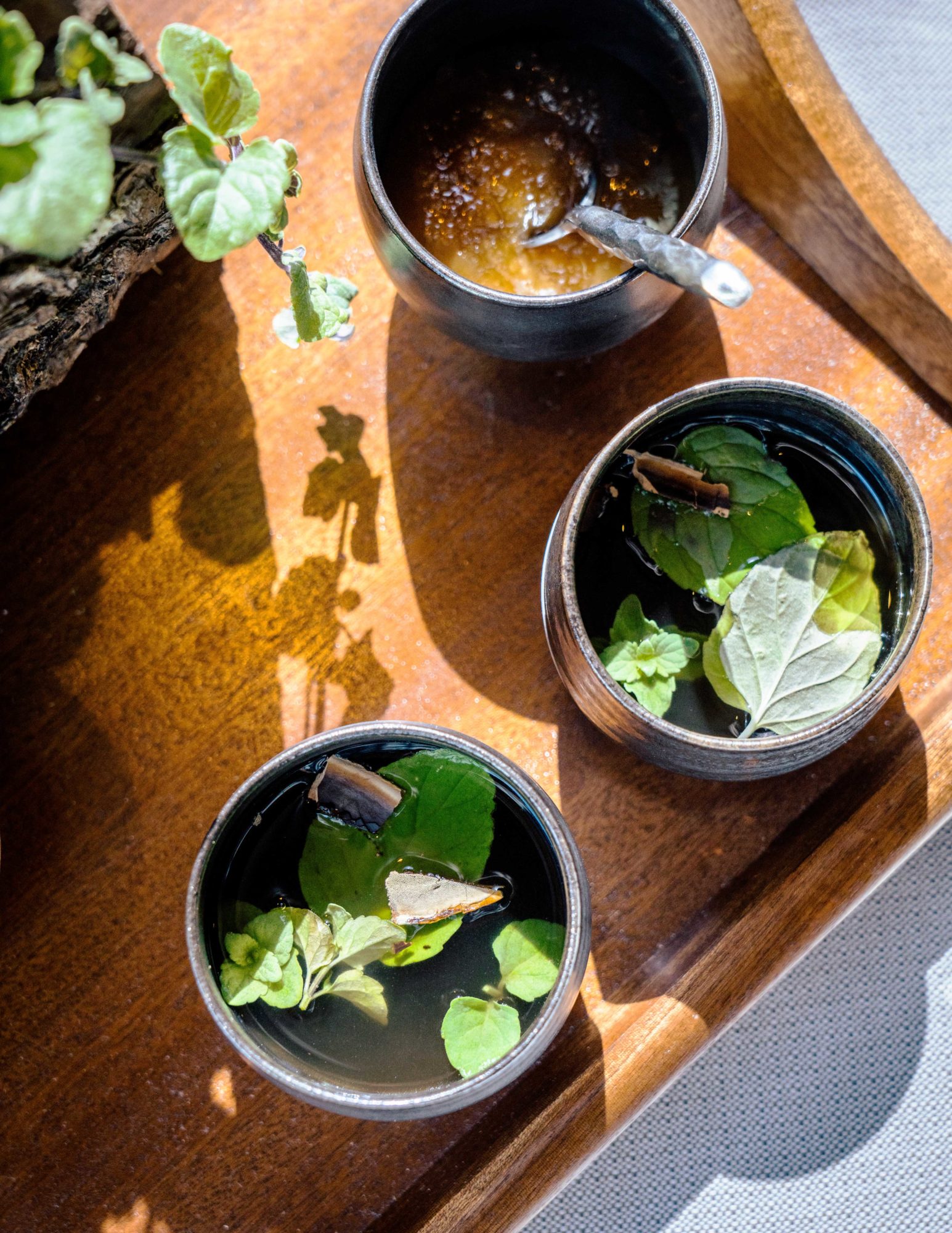 Reishi, Shiitake & Caramelized Brown Rice Tea Recipe - Sunset Magazine