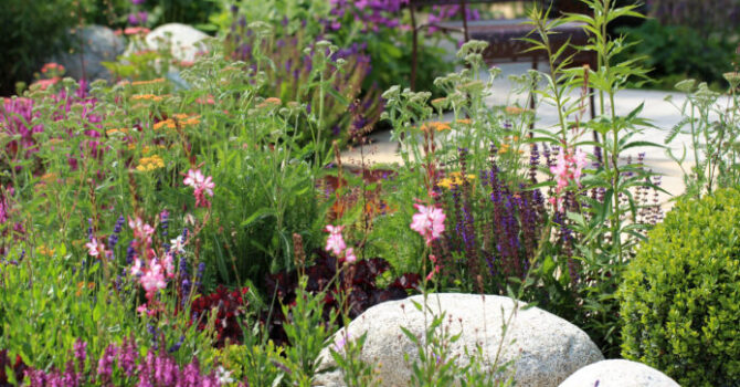 Guide to Basic Gardening