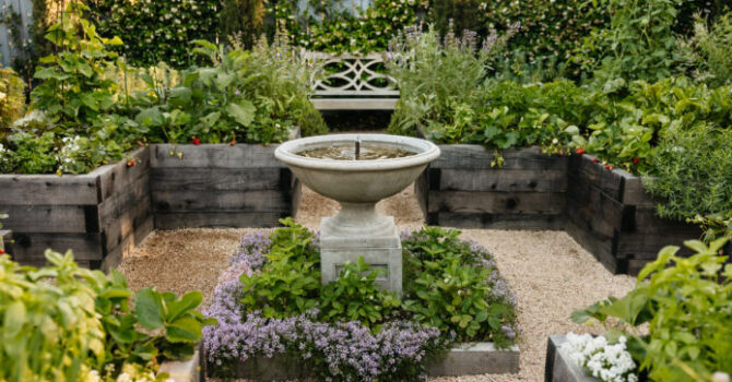 Guide to Basic Gardening – Sunset Magazine