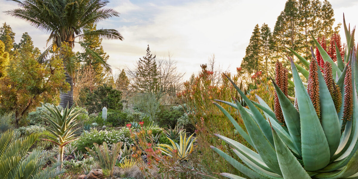 5 Steps to Creating a Visually Stunning Climate-Resilient Garden ...