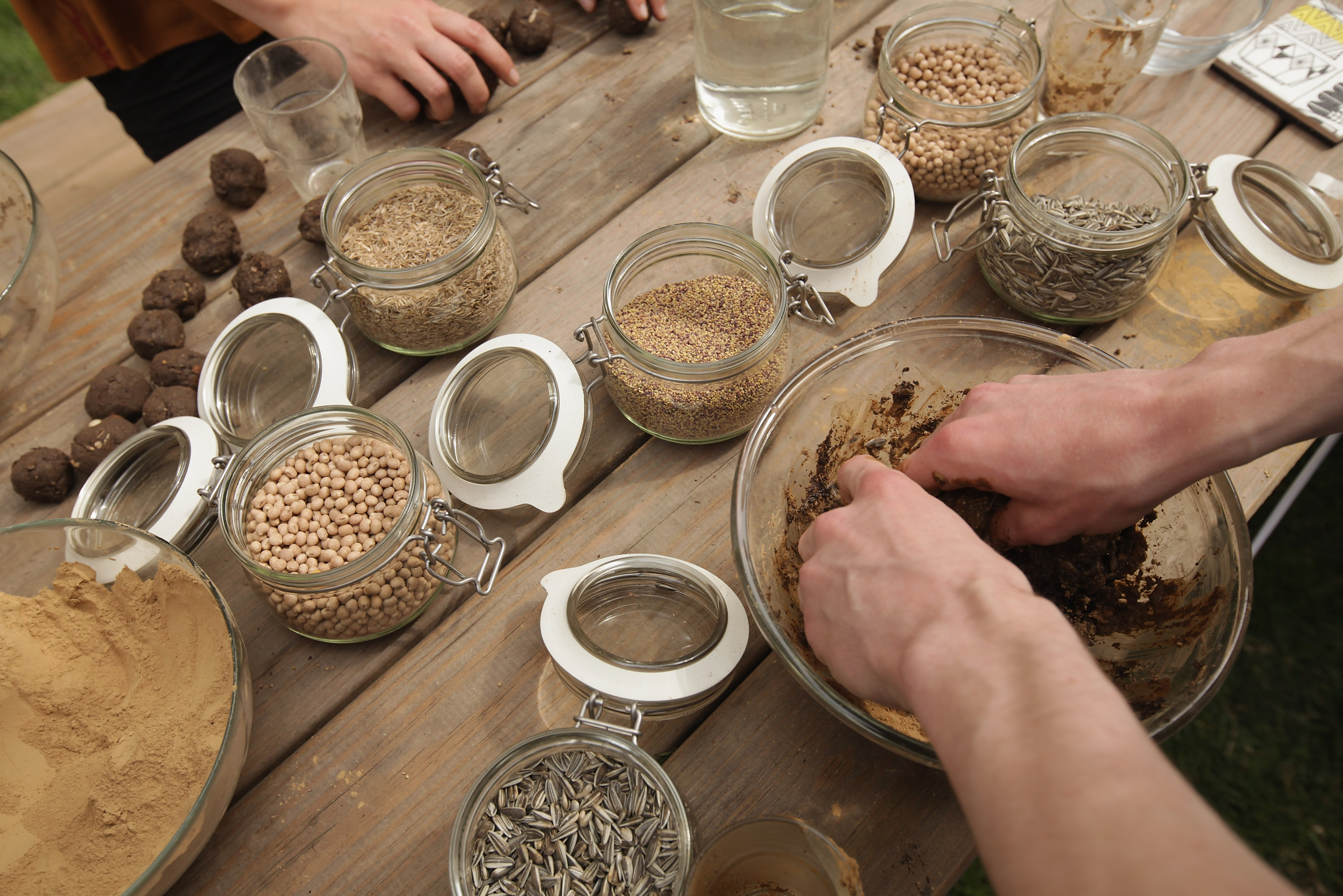 How to Make Seed Bombs – Sunset Magazine