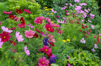 Guide to Basic Gardening