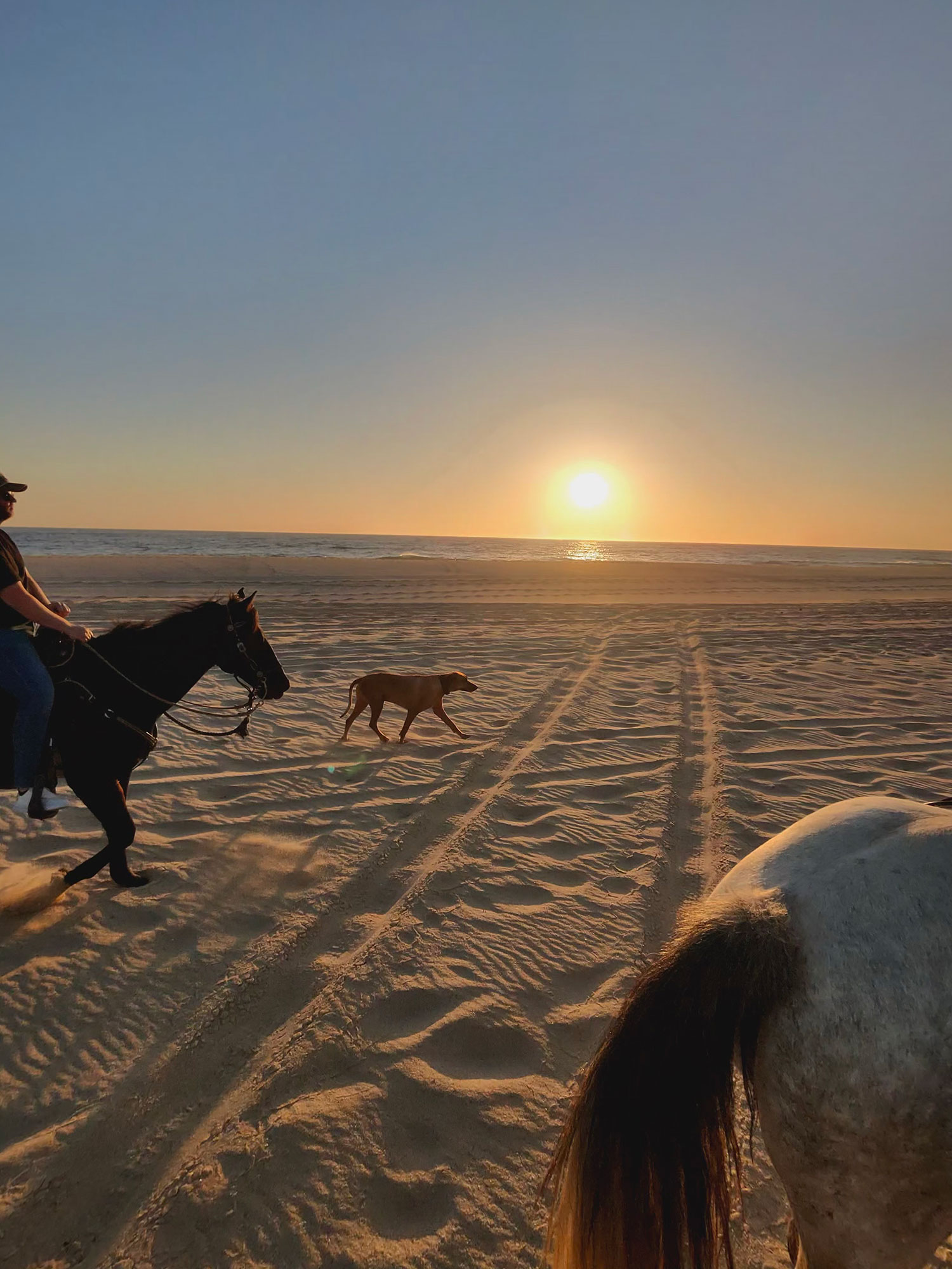 These 2 Baja California Cities Are the Ideal Honeymoon Spot – Sunset ...