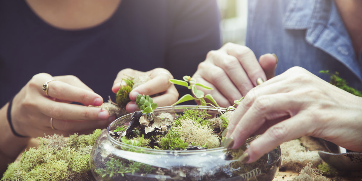 These Easy DIY Terrariums Are Mini-Biodomes For Your Home — Sunset ...