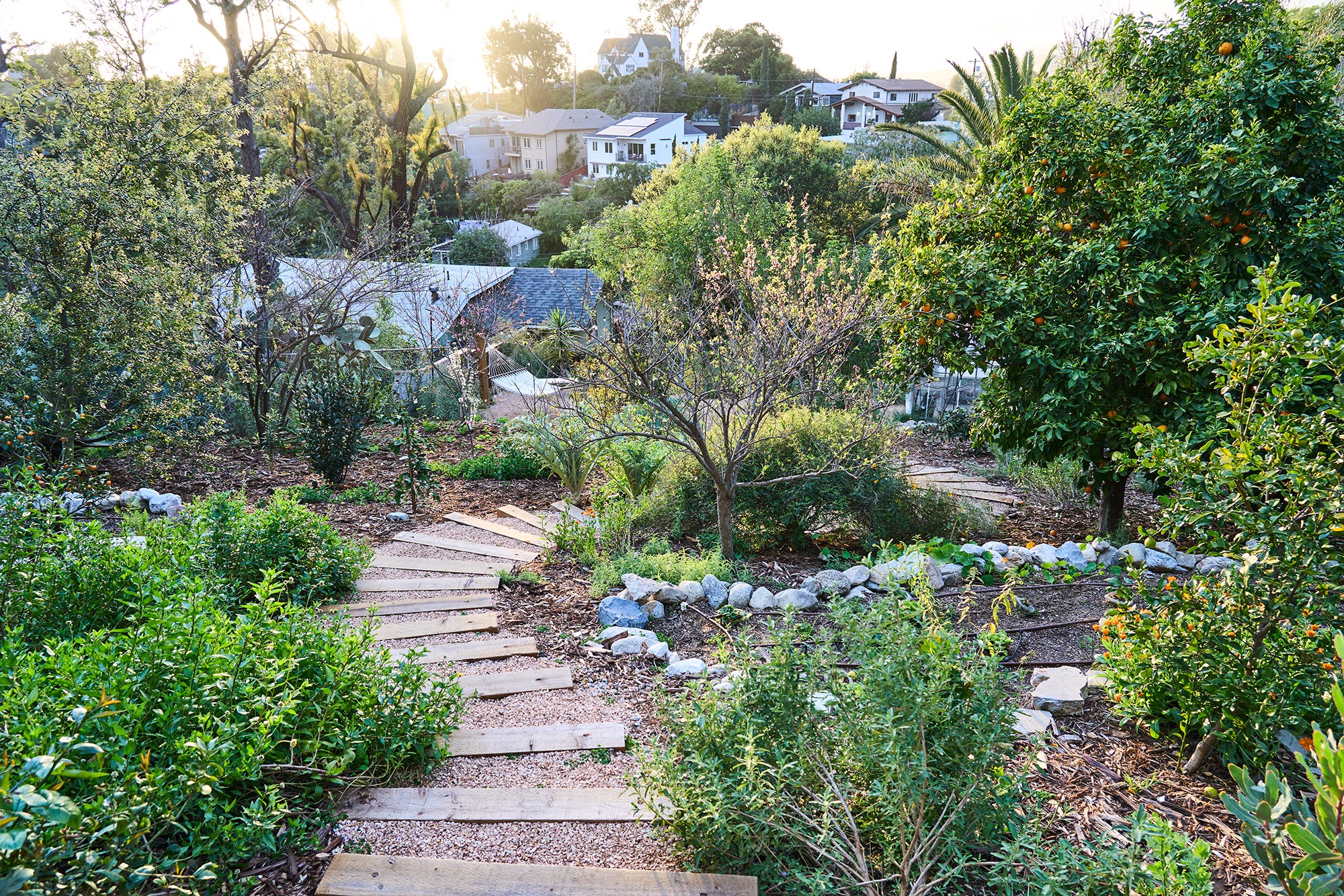 Most Beautiful Backyard Gardens