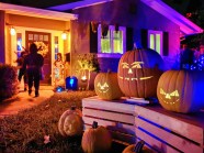 28 October 2022 Unclerave s Wordy Weblog