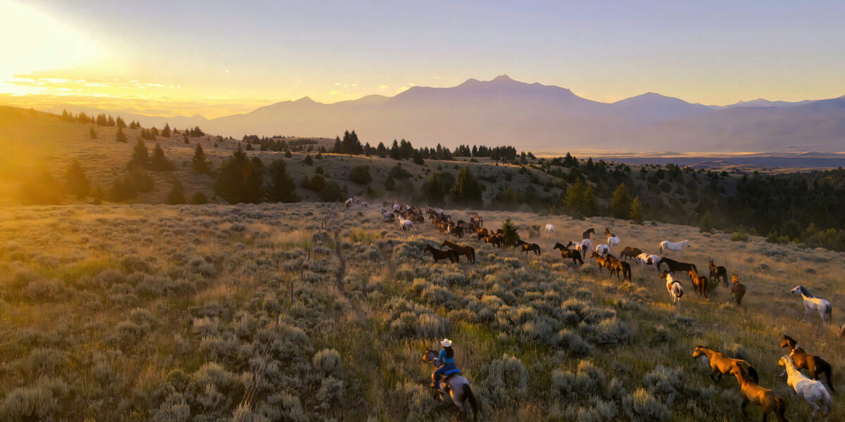 Experience the Best of the West with These Road Trips Through Montana’s ...